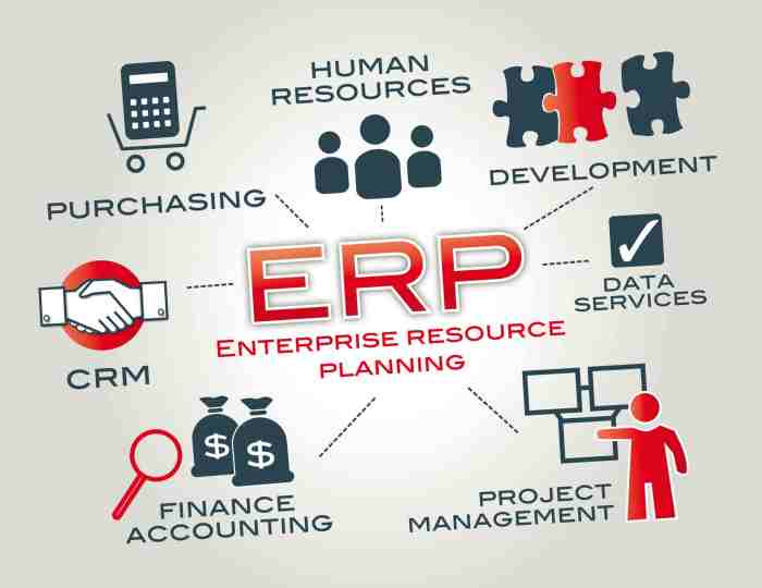 SYTELINE ERP: Streamlining Business Operations - Demographic - Demographic