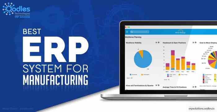 BEST ERP FOR MANUFACTURING: Streamline Your Operations - Demographic